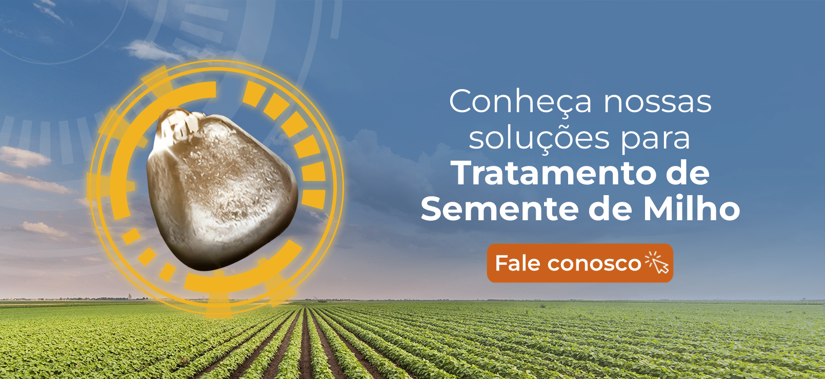 Tratamento semente de milho: entenda como funciona e qual sua ...